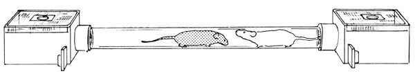 Biology of the Laboratory Mouse - Figure 33-2